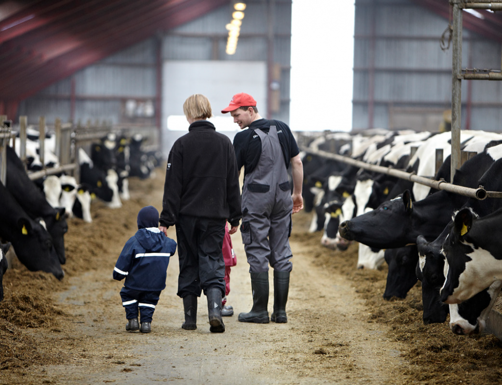 ARLA 2018 CSR REPORT: PROFITABILITY + SUSTAINABILITY – The CSR Arena